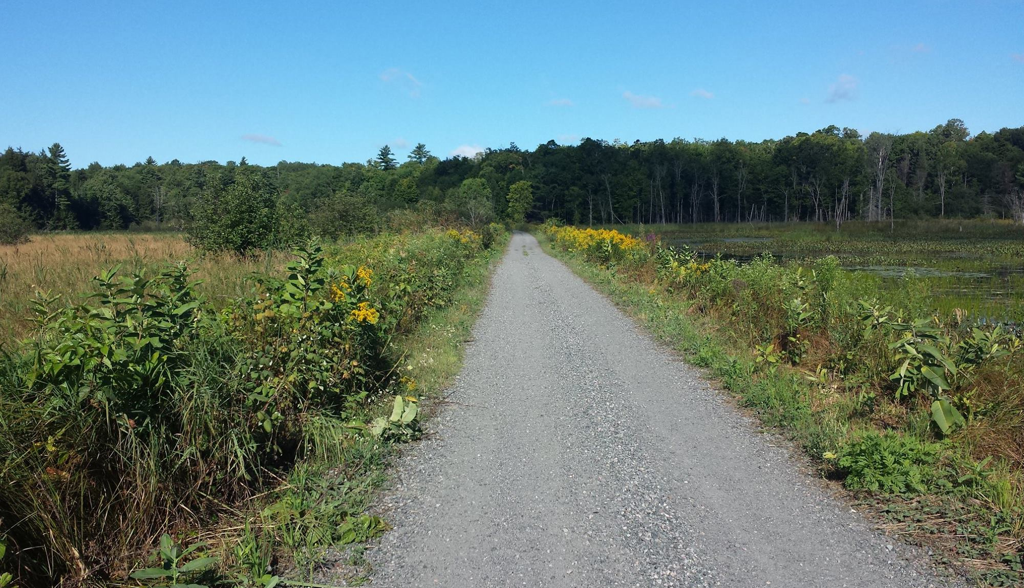 Rose Point Trail | Bike Cottage Country